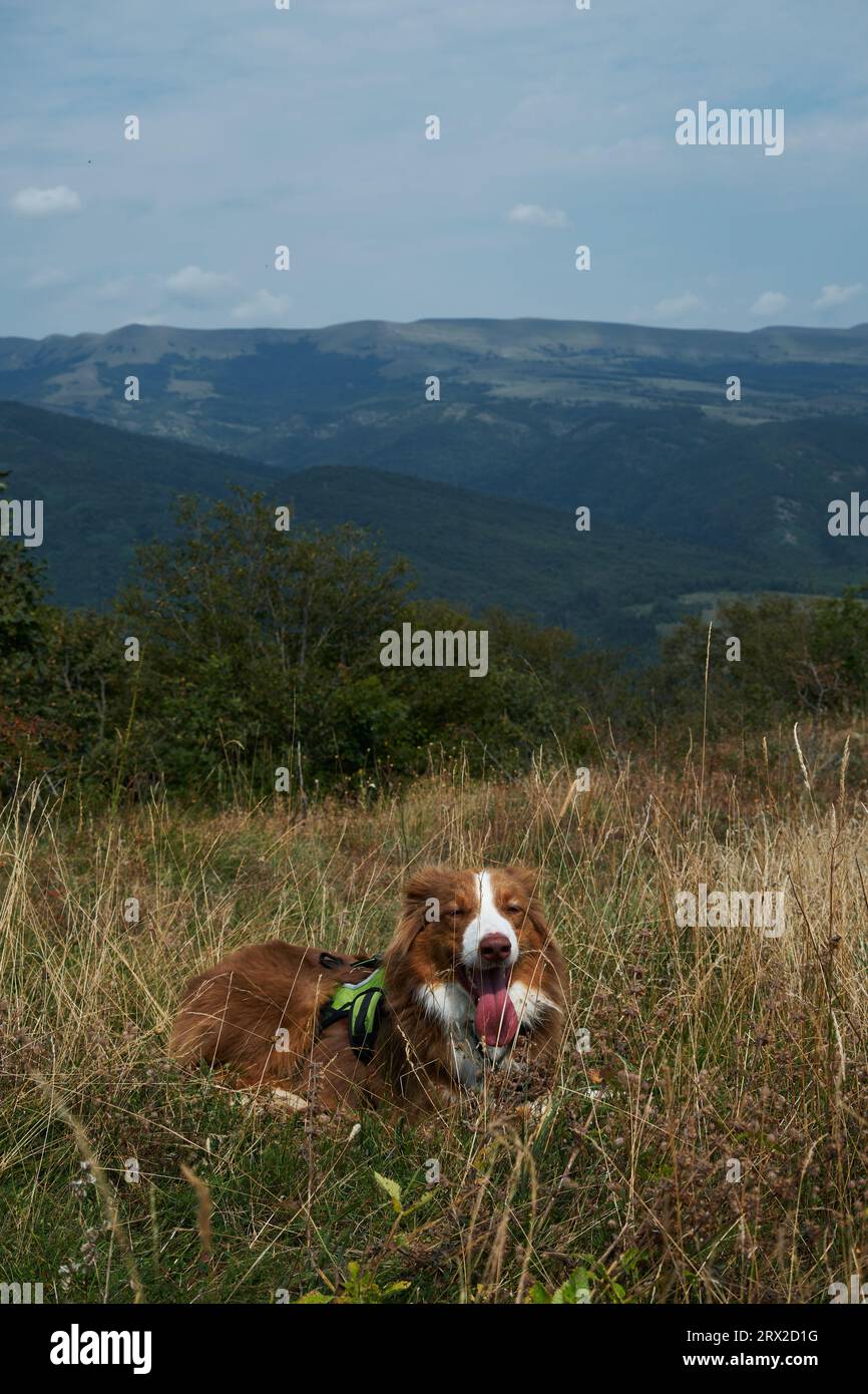 Algeti national park hi-res stock photography and images - Alamy