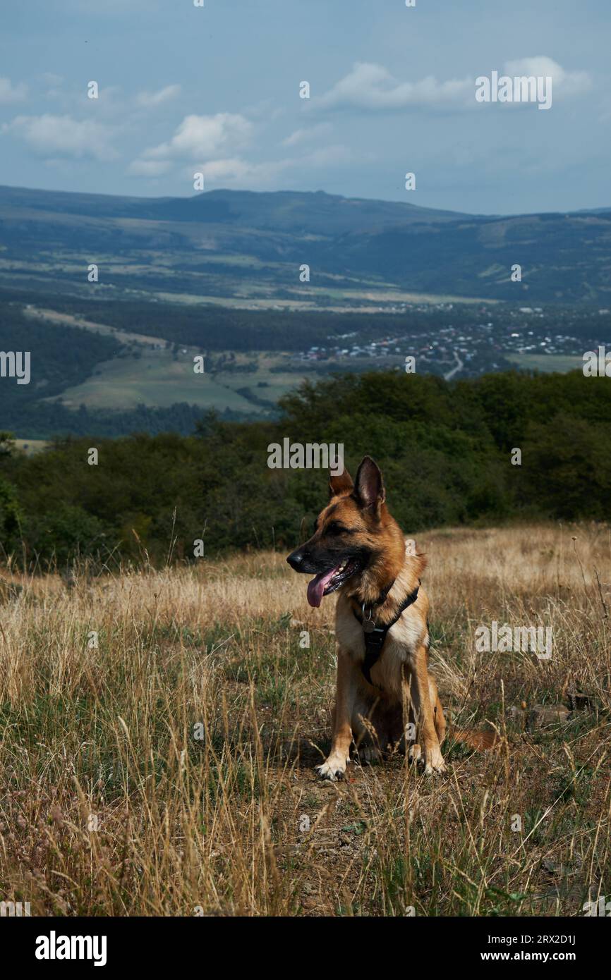Algeti national park hi-res stock photography and images - Alamy
