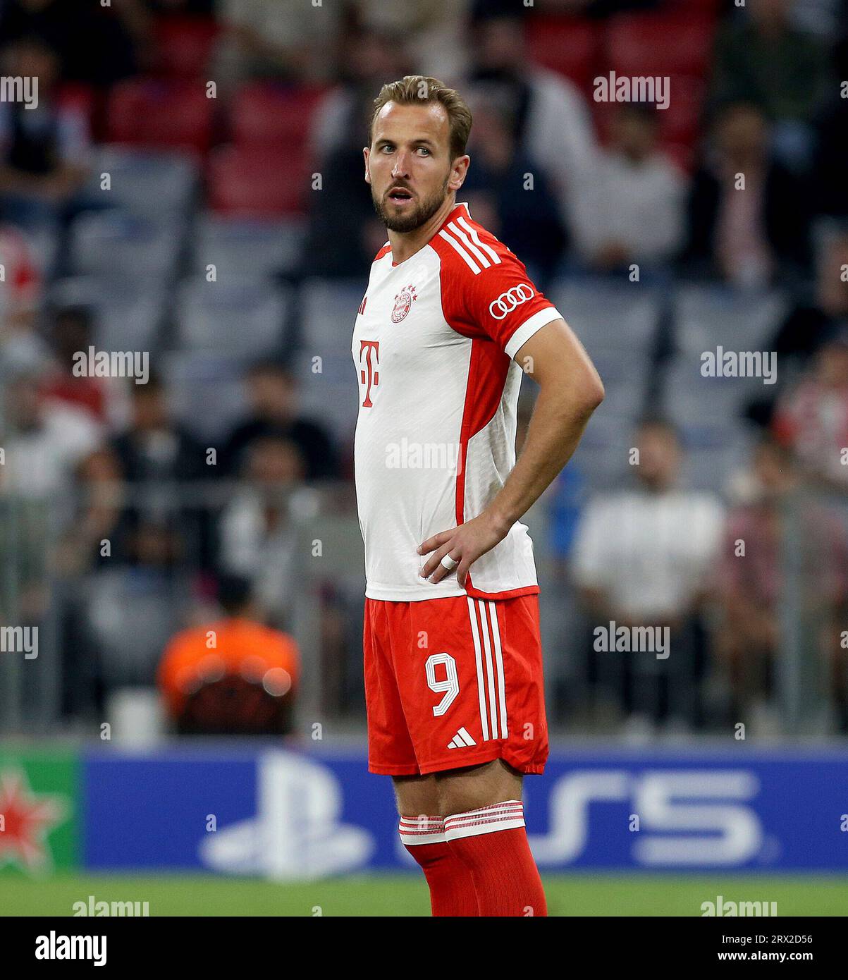 Harry Kane (Bayern) . FC Bayern München-Manchester United . München ...