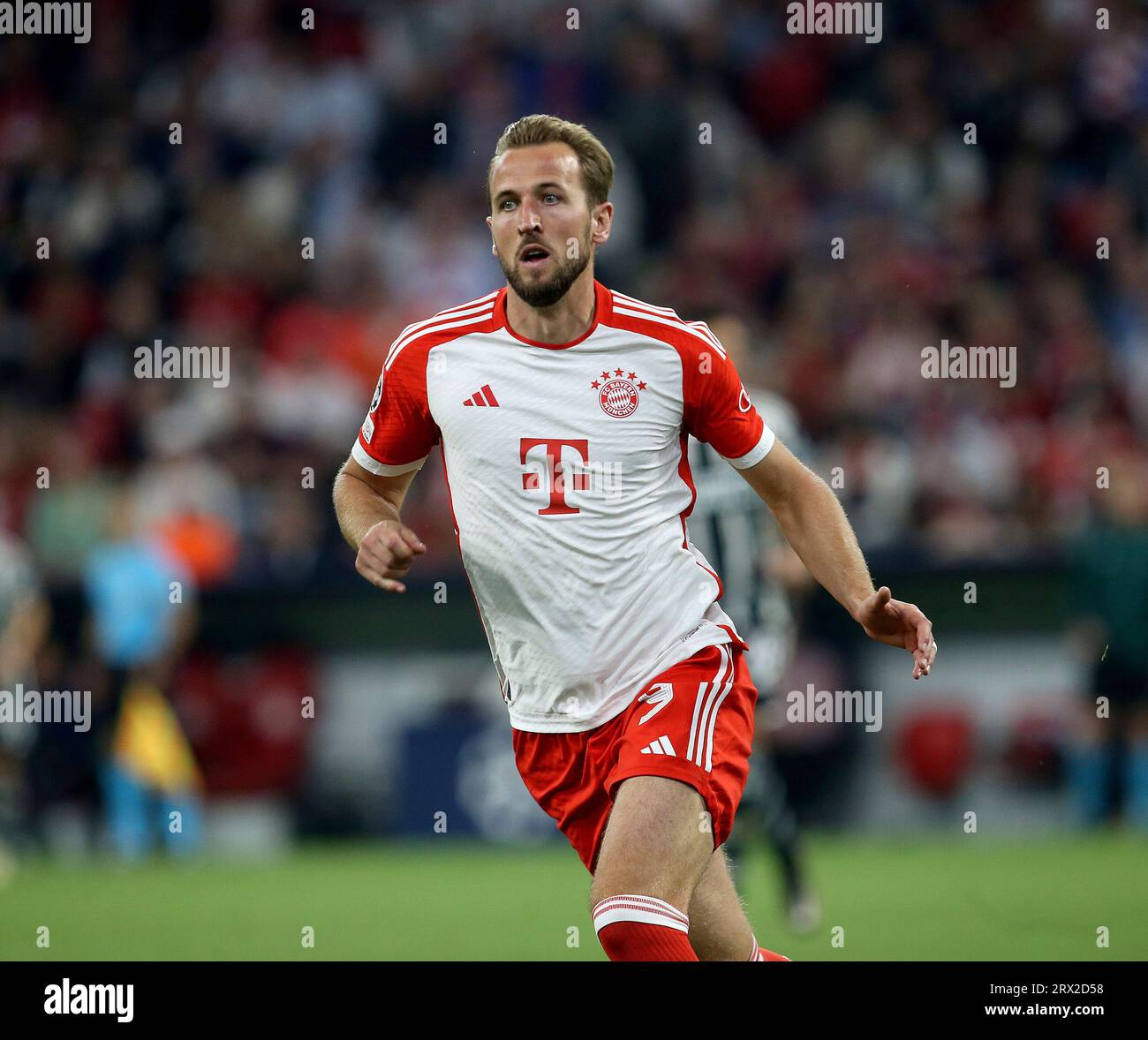 Harry Kane (Bayern) . FC Bayern München-Manchester United . München ...