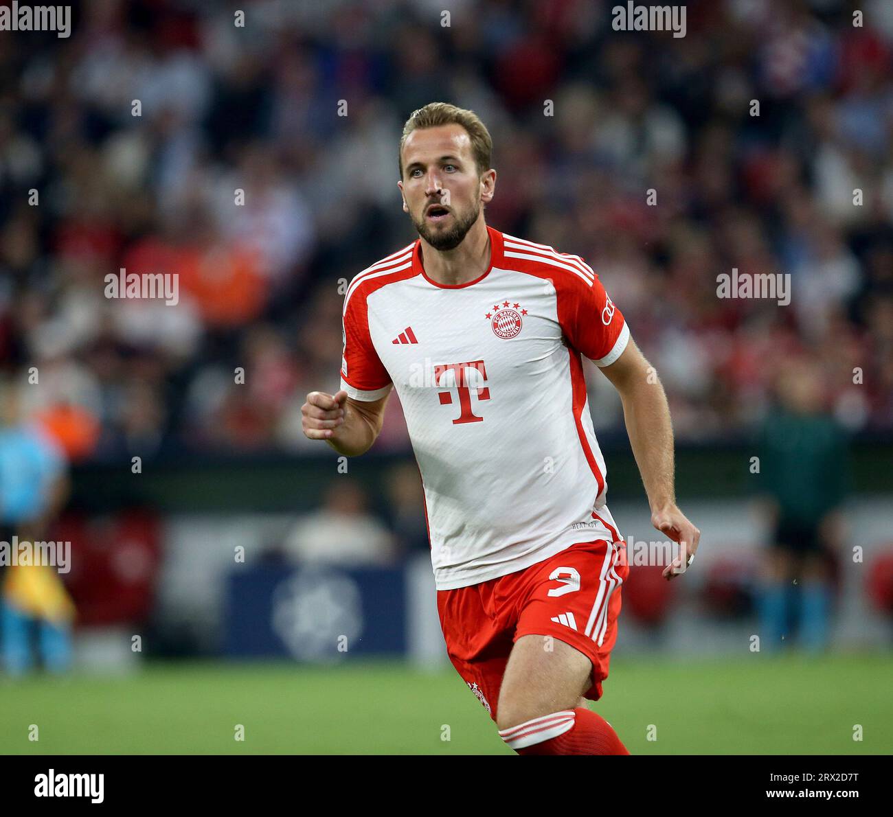 Harry Kane (Bayern) . FC Bayern München-Manchester United . München ...
