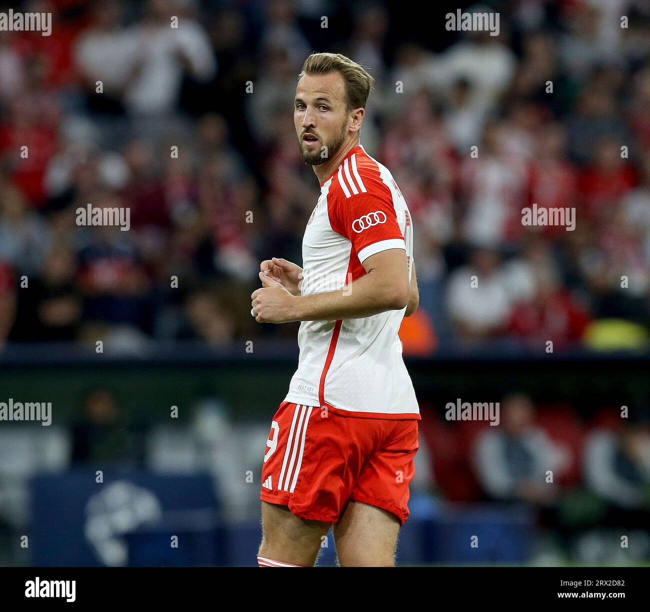 Harry Kane (Bayern) . FC Bayern München-Manchester United . München ...