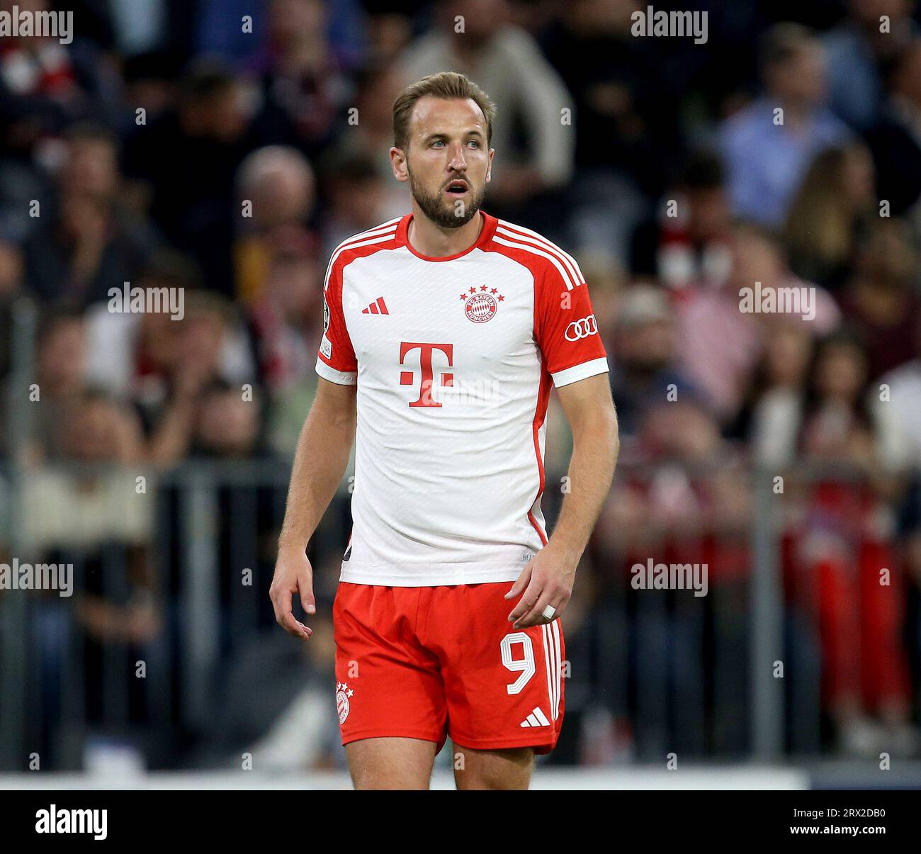 Harry Kane (Bayern) . FC Bayern München-Manchester United . München ...