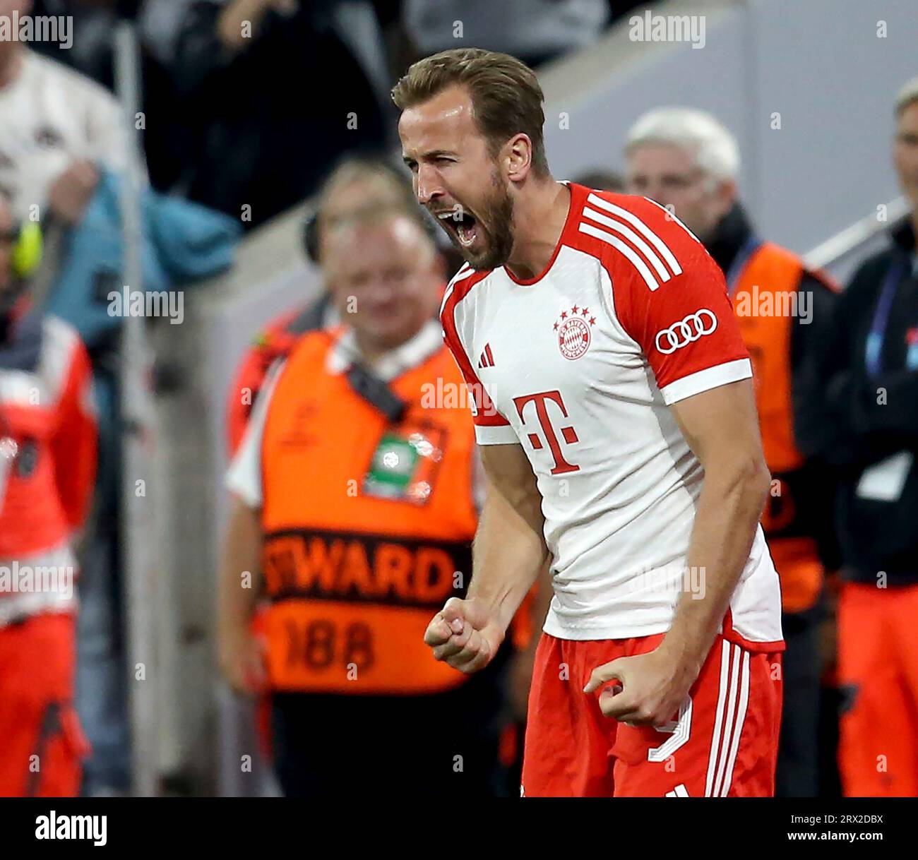 Torjubel 3:1 für München, Torschütze Harry Kane (Bayern,) . FC Bayern ...