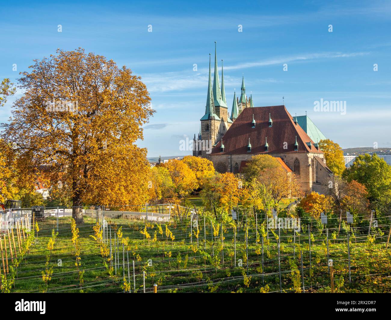 View of St. Severus' Church at Erfurt, the capital and largest city of ...