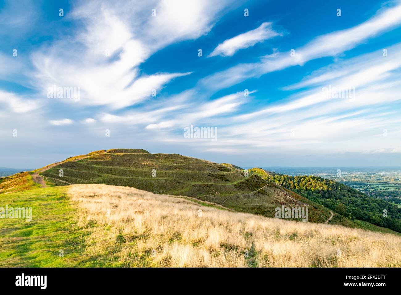 Beautiful green grass covered hill walking pathway,leading northwards ...