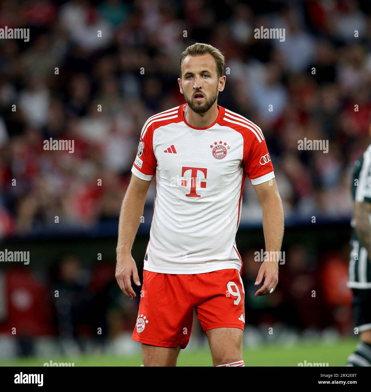 Harry Kane (Bayern) . FC Bayern München-Manchester United . München ...