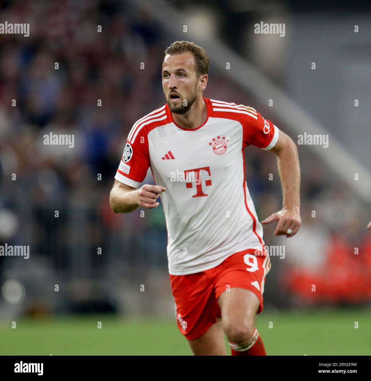 Harry Kane (Bayern) . FC Bayern München-Manchester United . München ...
