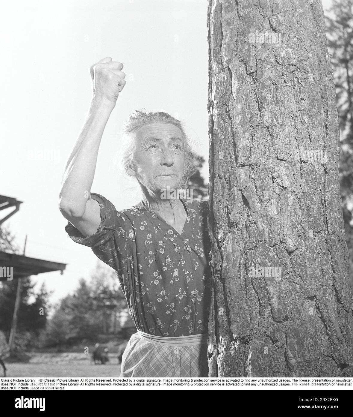Åsa-Nisse on new adventures. Swedish feature film from 1952. Here ...