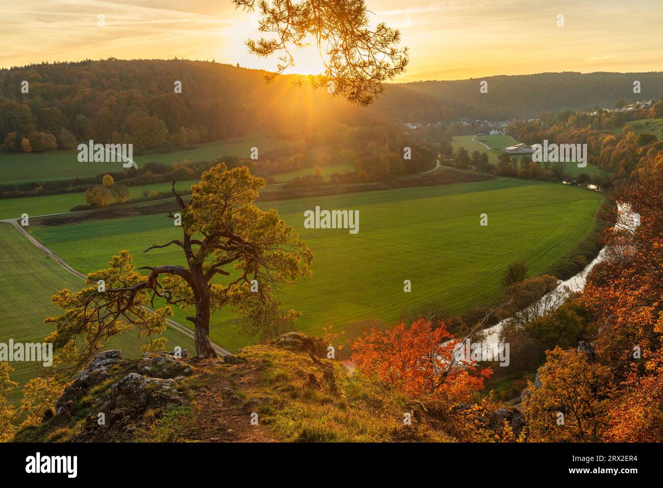 Twelve Apostles rock formation in Altmuhl Valley, Solnhofen, Bavaria ...