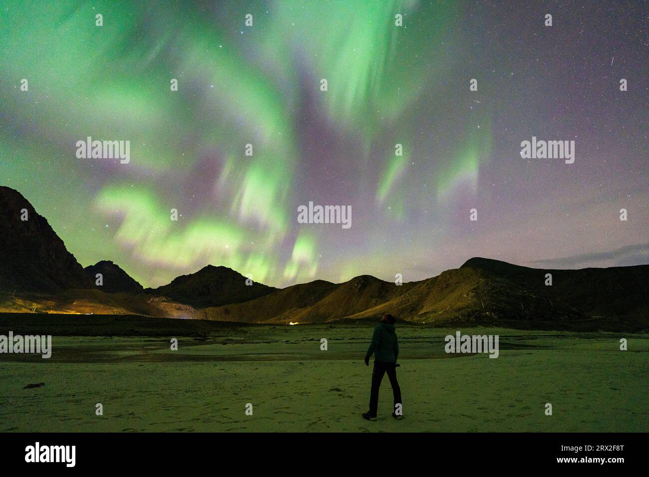 Photographer contemplating the Aurora Borealis (Northern Lights) in the starry sky from Haukland ...