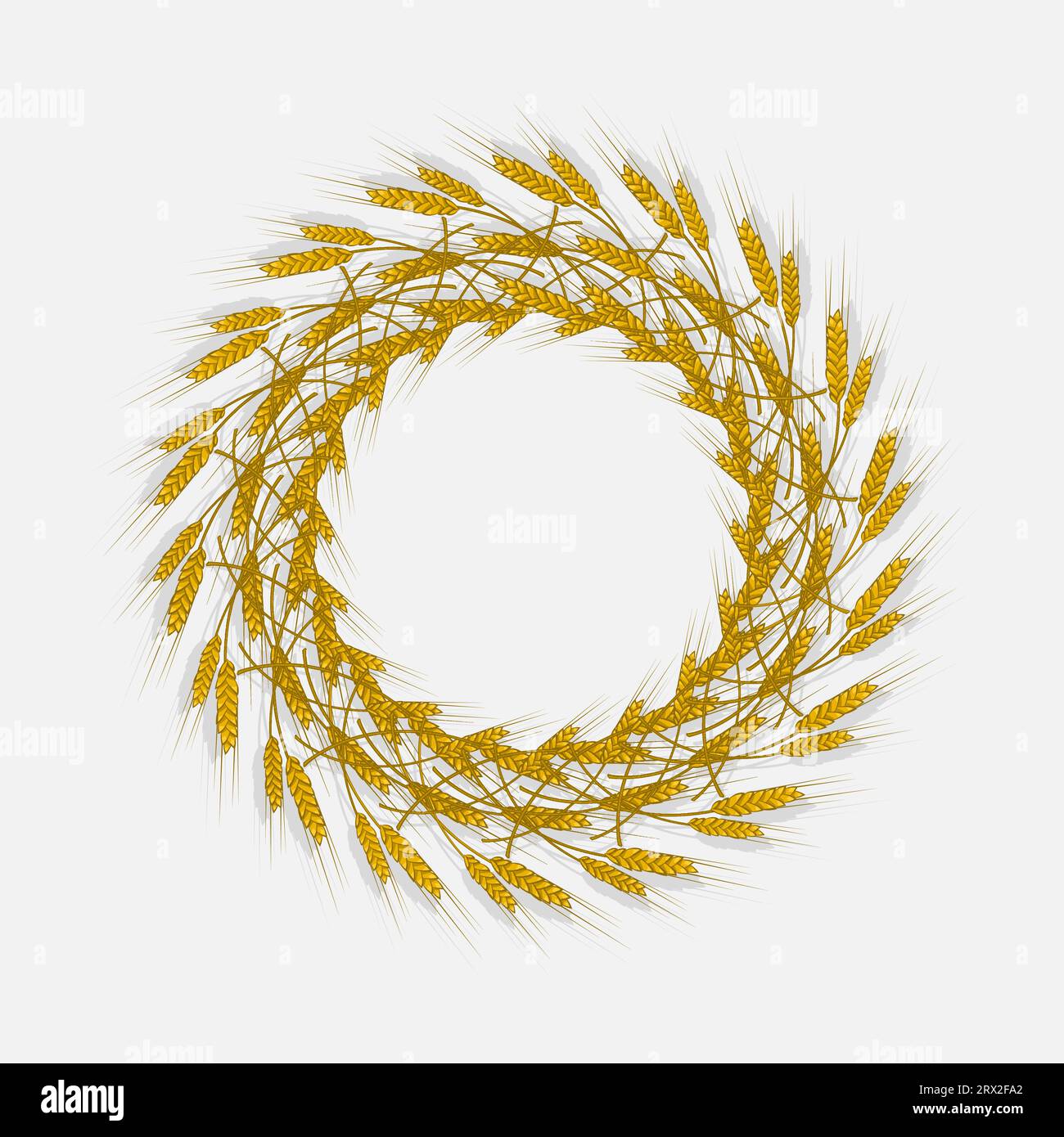 Spikes of wheat, barley or rye are woven into one bundle. Vector ...