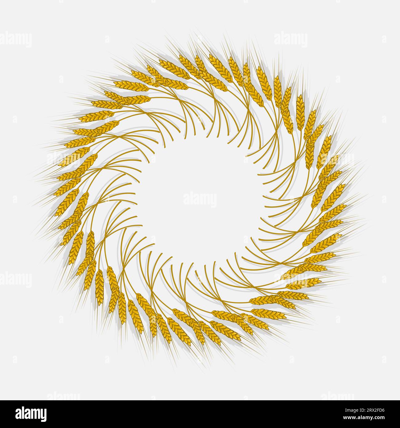 Spikes of wheat, barley or rye are woven into one bundle. Vector ...