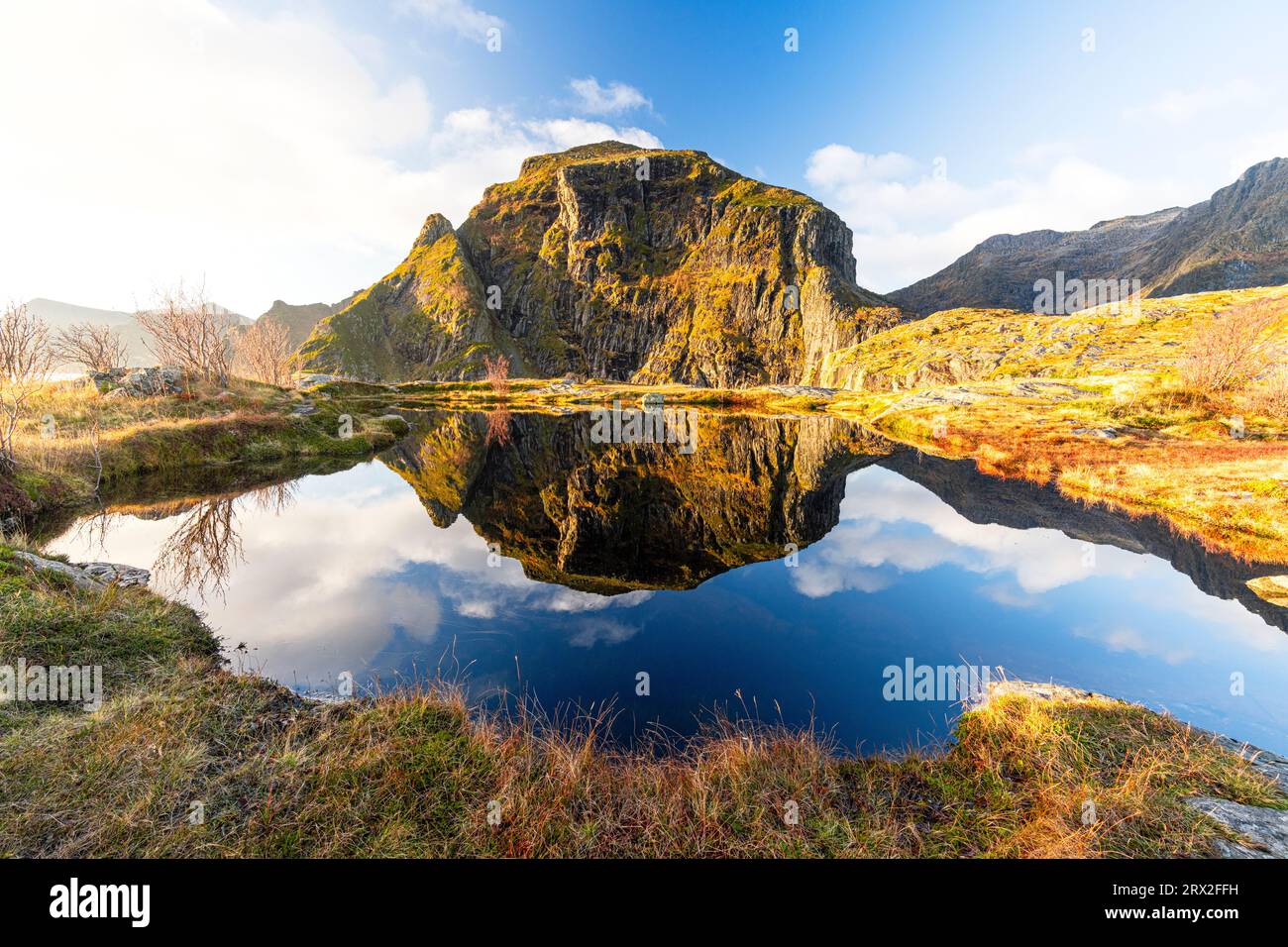Mountains mirrored in the pristine blue water in autumn, A i Lofoten ...