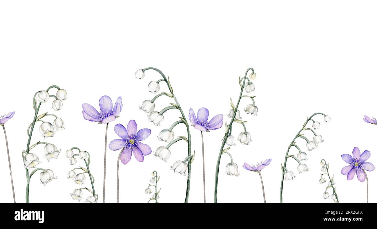 Flower Border Line Tumblr