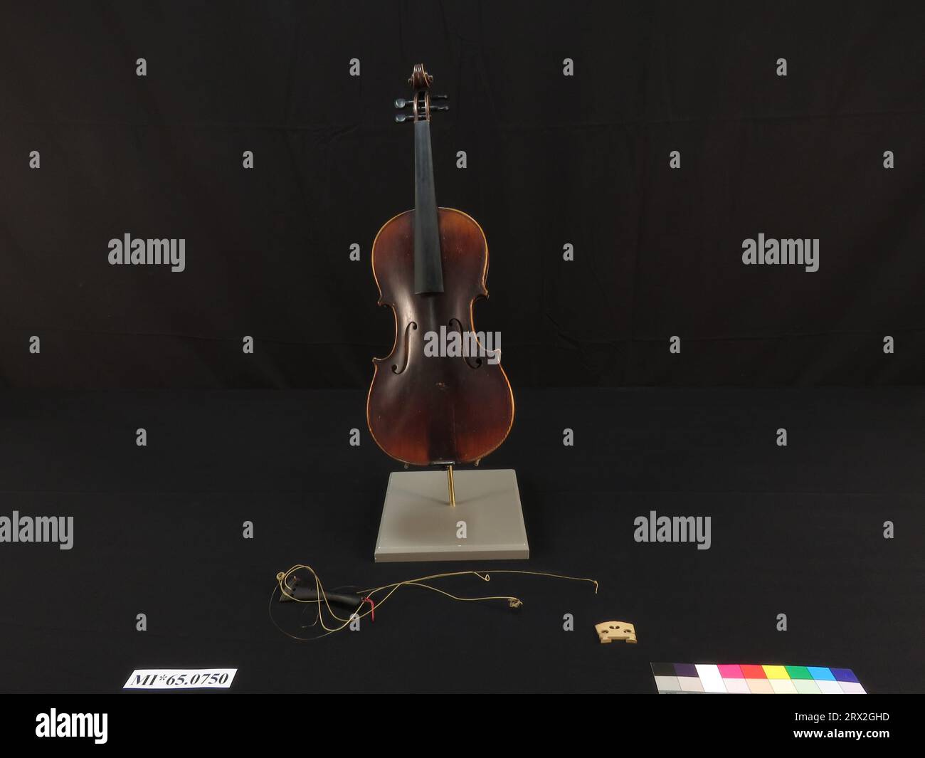 Violin, with bridge and strings. MI*65.0750 Stock Photo - Alamy