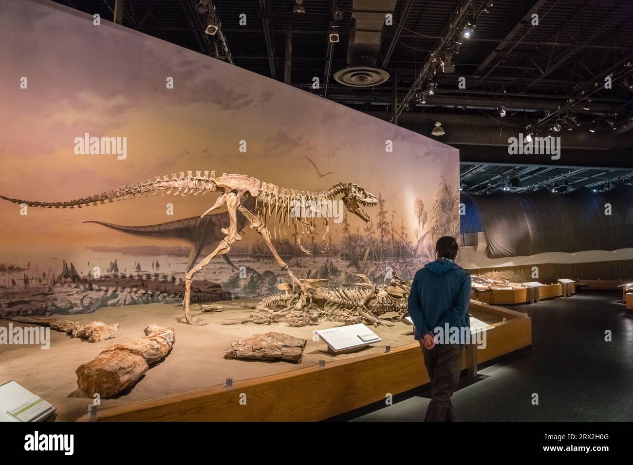 Drumheller, Alberta, Canada-December 12, 2021: The Royal Tyrrell Museum of Palaeontology houses ...