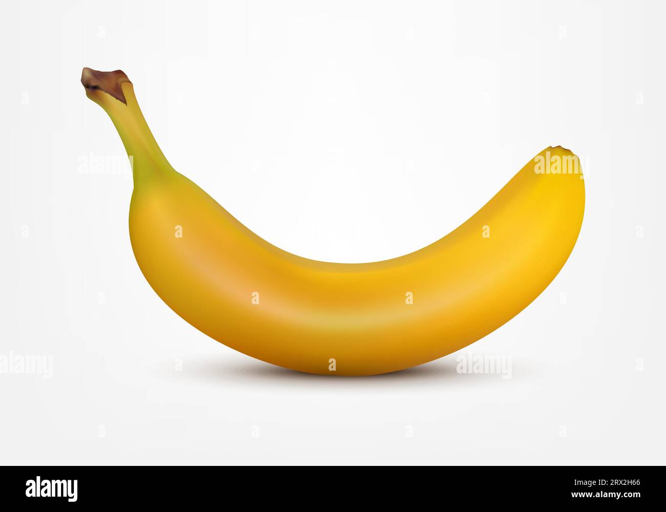 Banana in a realistic style vector illustration isolated on white ...