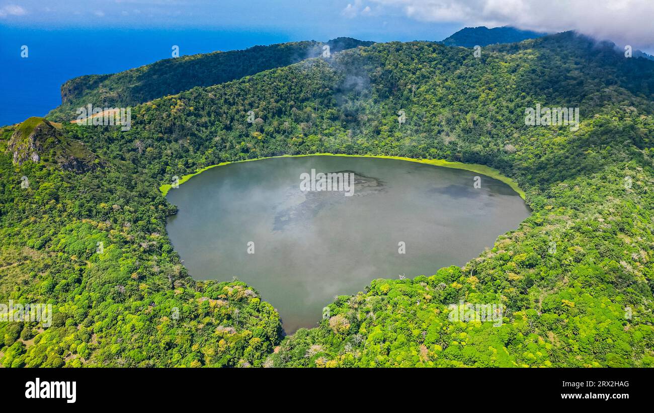 Equatorial forest africa hi-res stock photography and images - Alamy