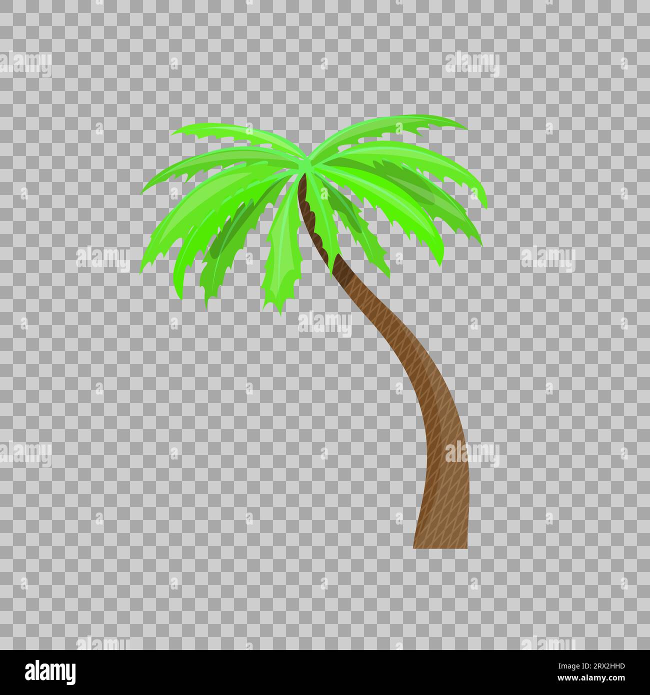 Palm trees in cartoon style isolated on transparent background Vector ...
