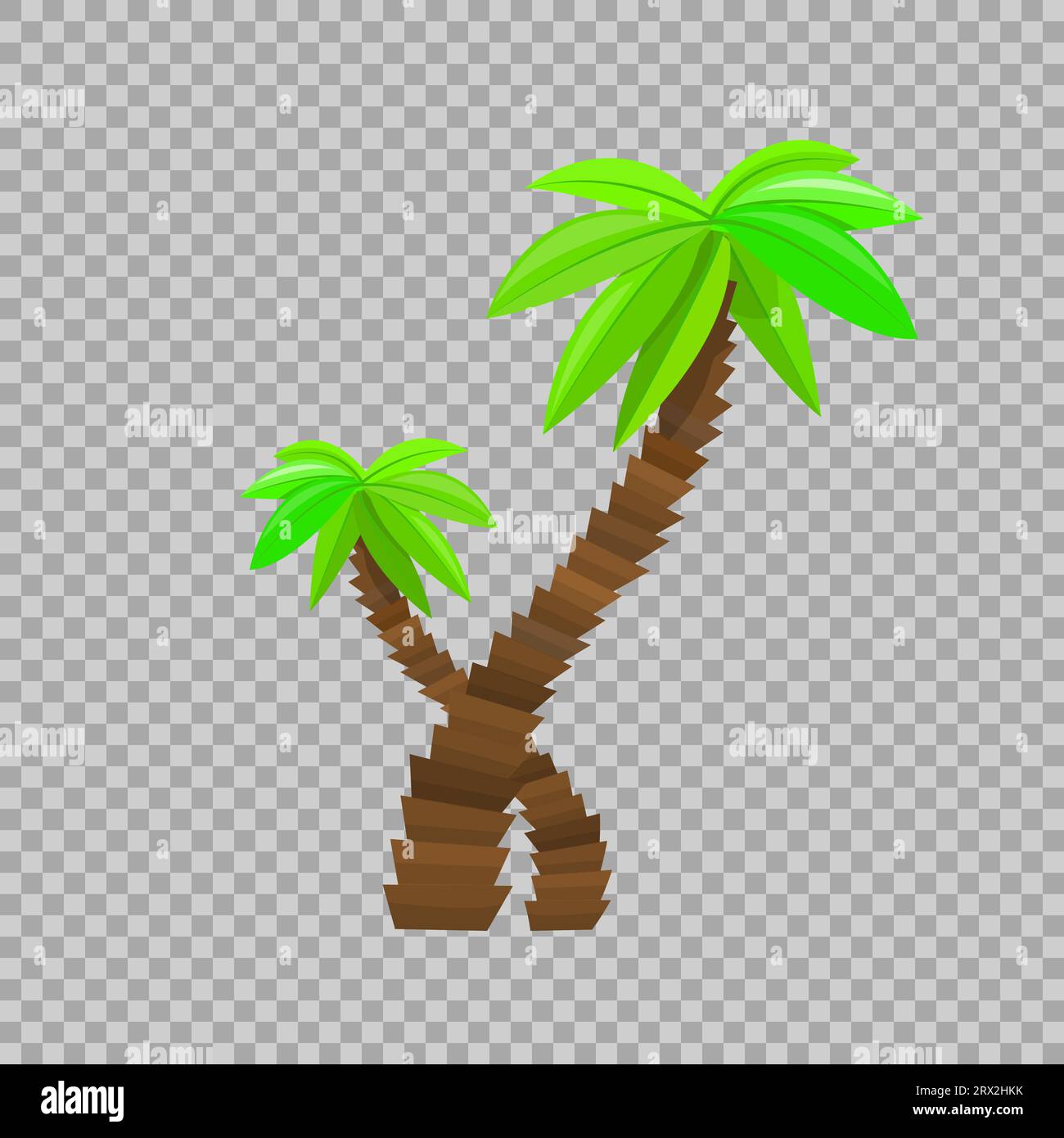 Palm trees in cartoon style isolated on transparent background Vector ...