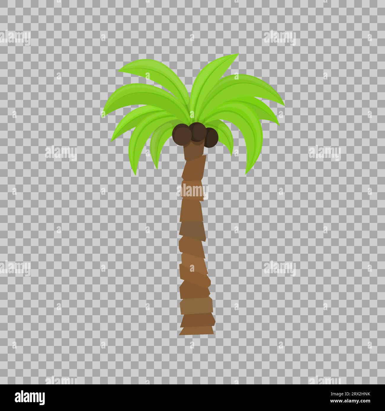 Palm trees in cartoon style isolated on transparent background Vector ...