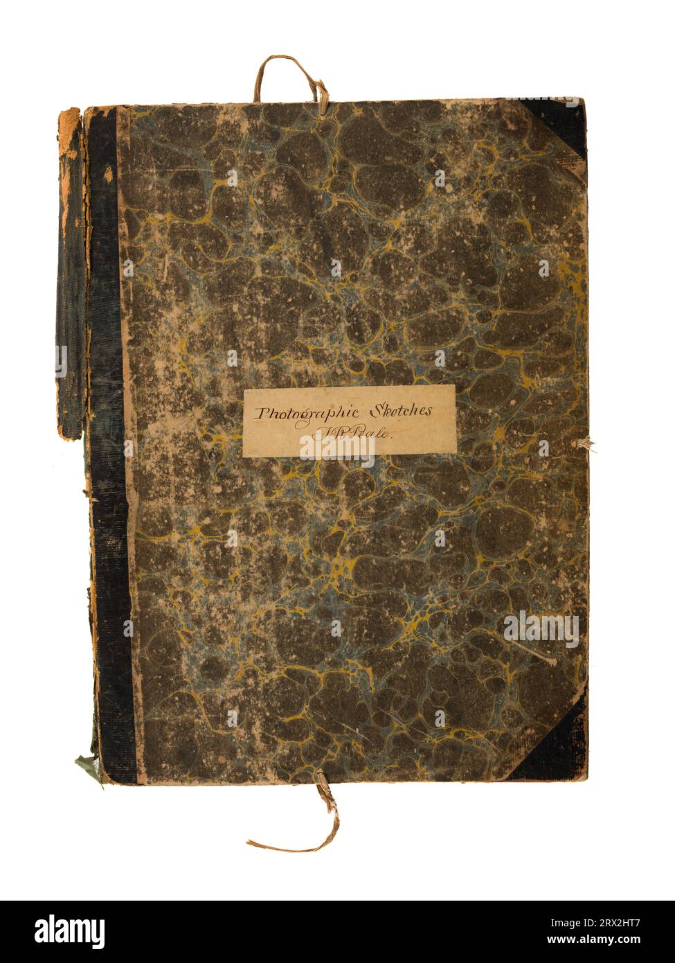 American tr Cut Out Stock Images & Pictures - Alamy