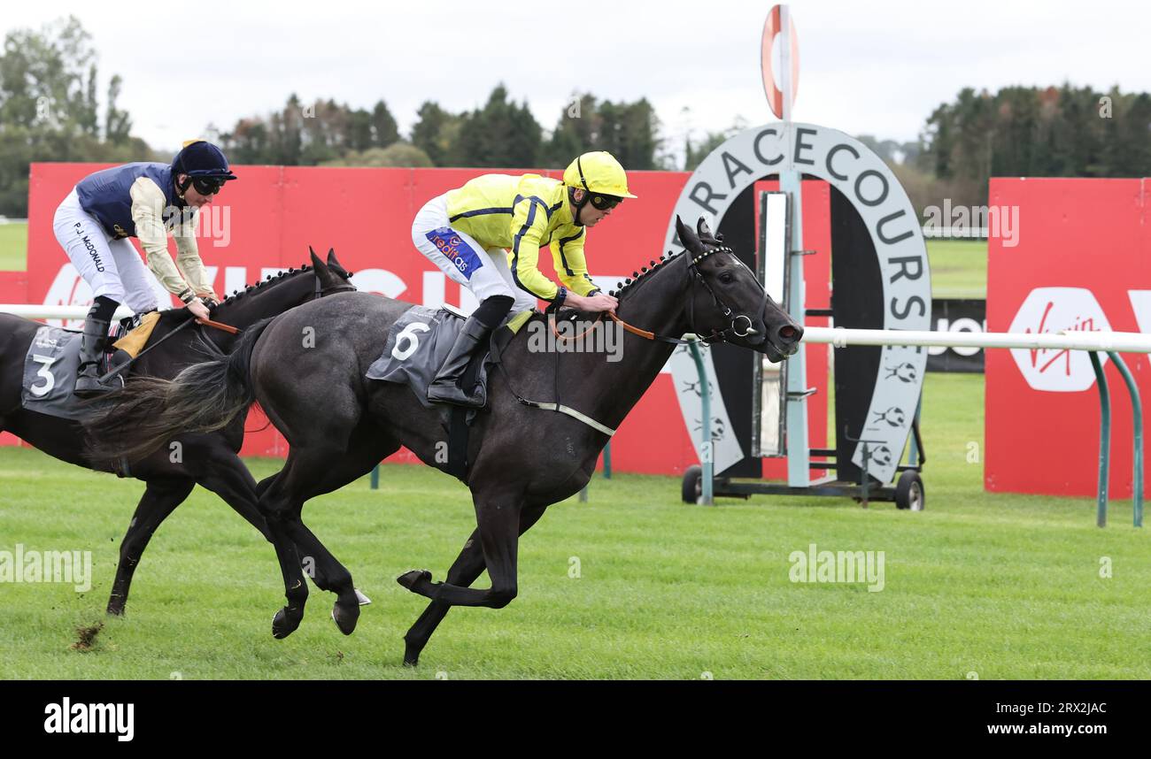 Beautiful diamond racecourse hi-res stock photography and images - Alamy