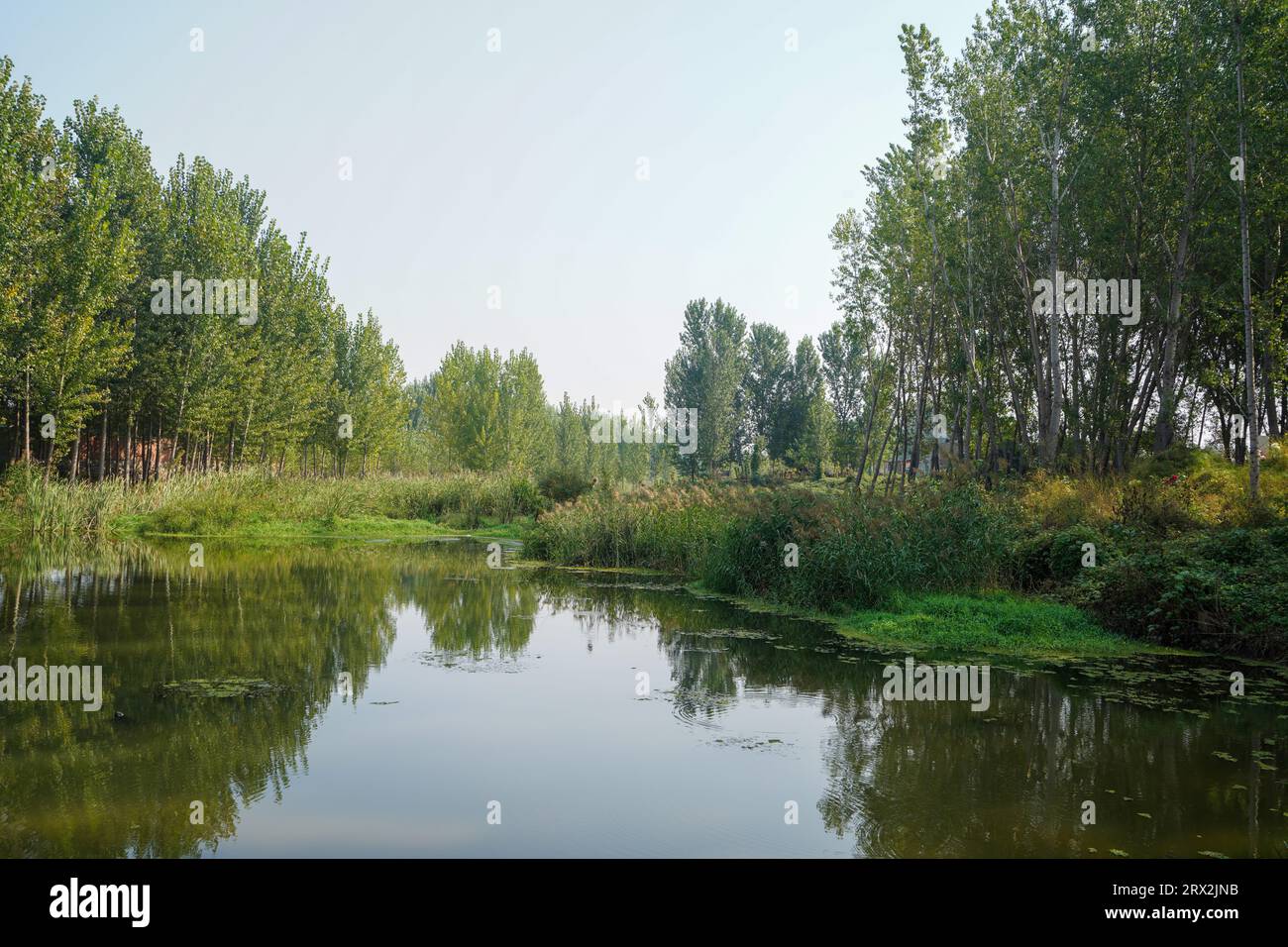 Summer Scenery of Rural Rivers, North China Stock Photo - Alamy