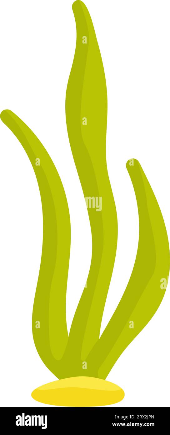 Vector illustration. Underwater seaweed cartoon clipart. isolated ...