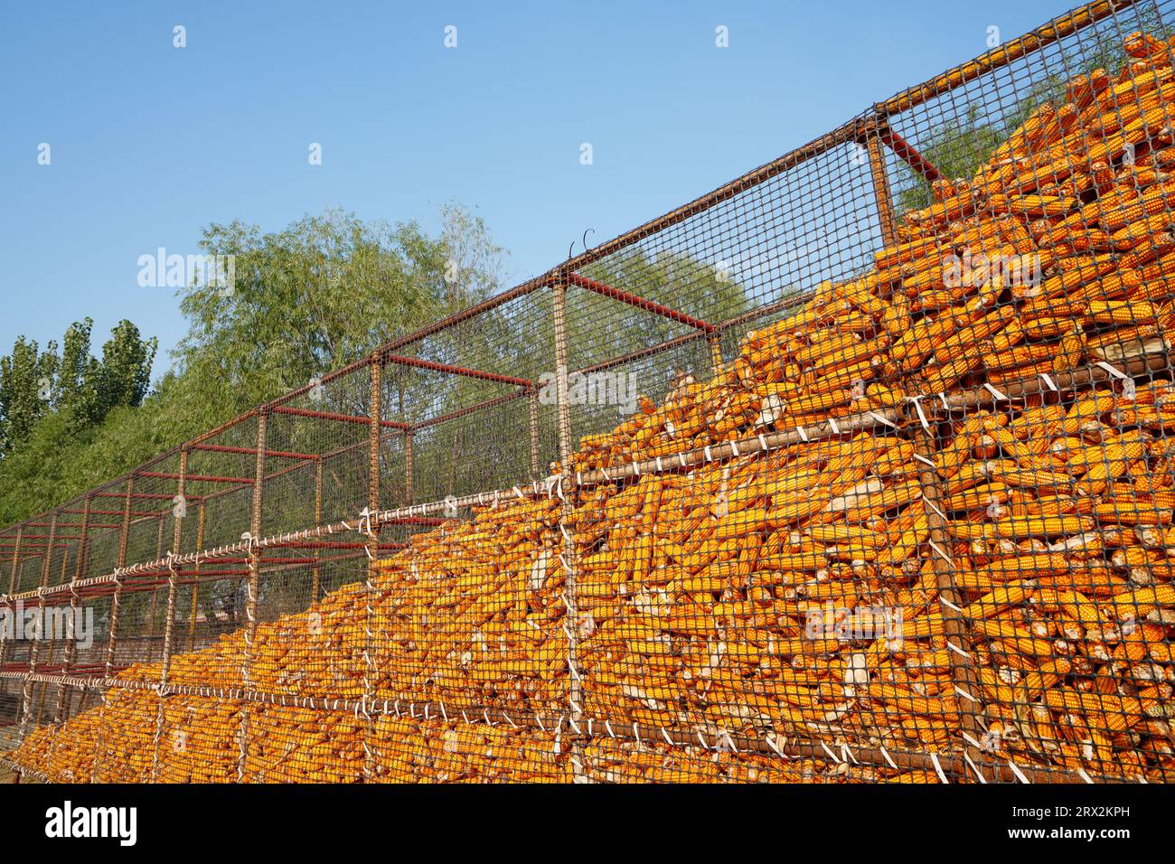China grain storage hi-res stock photography and images - Alamy
