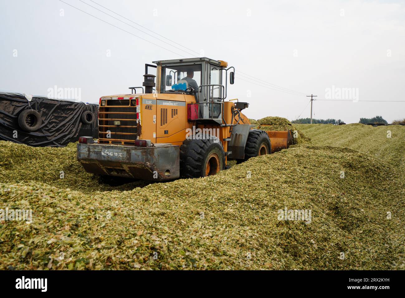 Luannan County, China - October 8, 2022: Engineering vehicles are ...