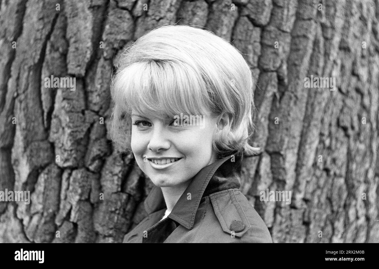 Beauty contest 1960's hi-res stock photography and images - Alamy