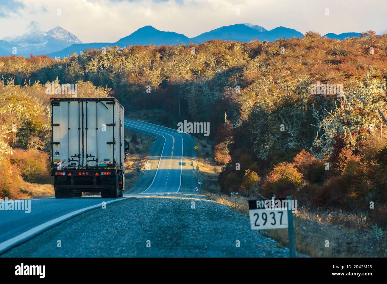 Cargo truck crossing highway surrounded by forest landscape, tierra del fuego province ...