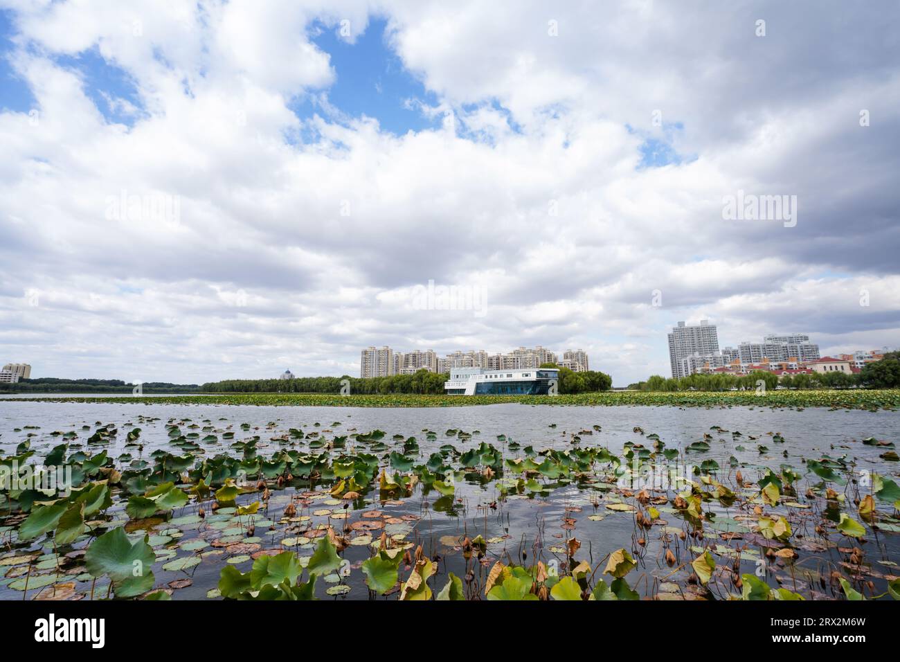 Waterfront city scenery north china hi-res stock photography and images ...