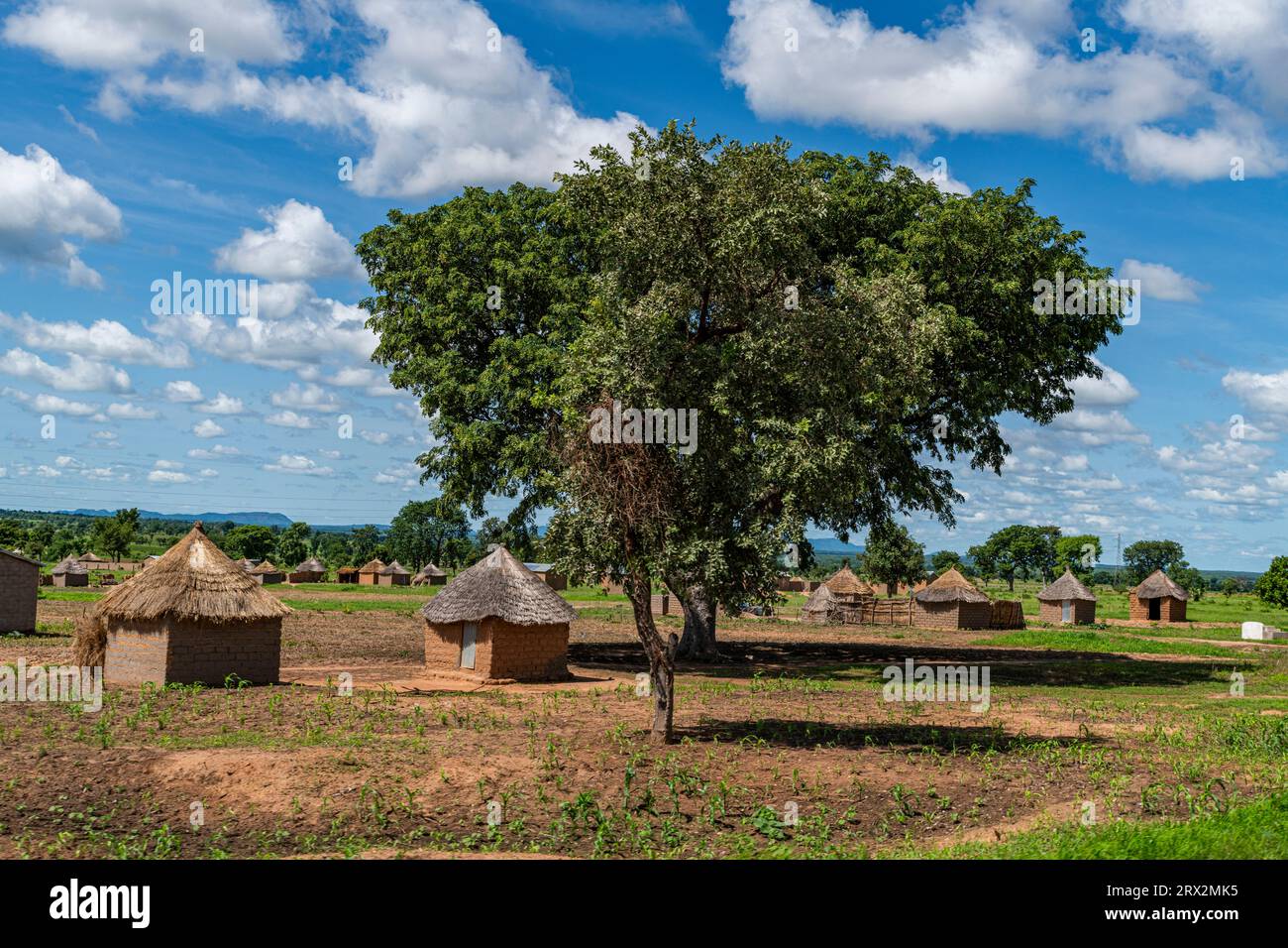 Traditional mud huts, Northern Cameroon, Africa Stock Photo - Alamy