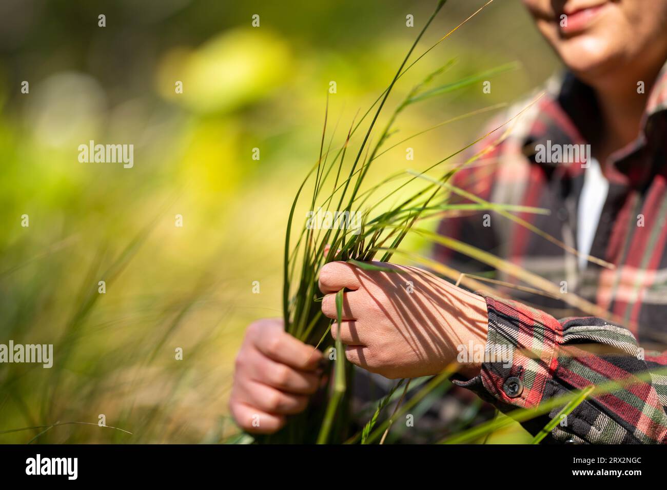 regenerative organic farmer, taking soil samples and looking at plant ...