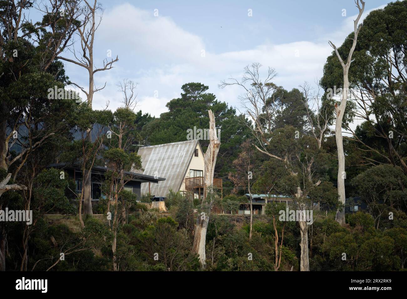 a frame beach house in the bush in a national park Stock Photo - Alamy