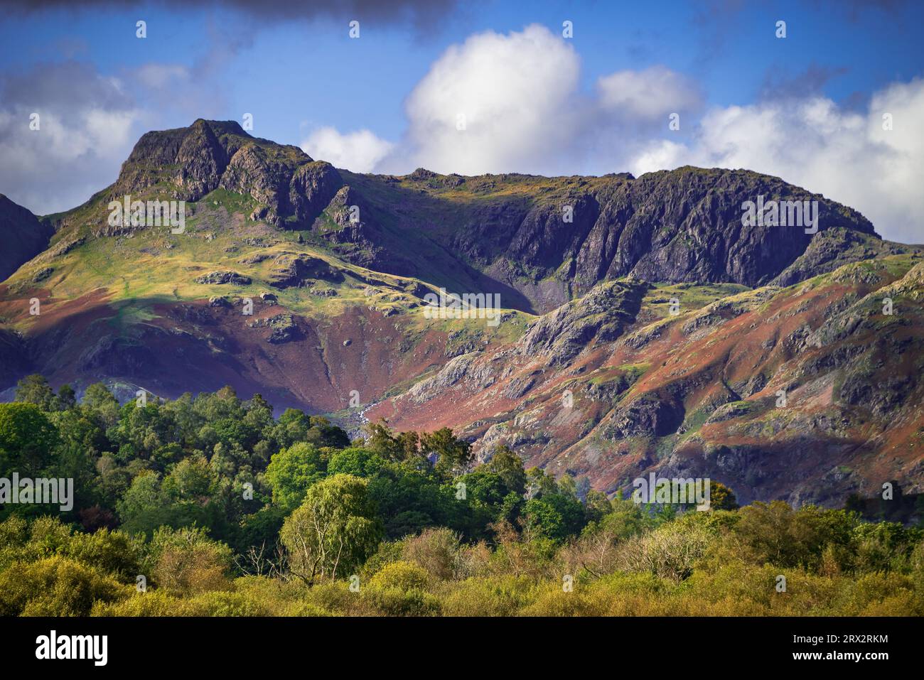 The Langdale Pikes in the lake District National Park with Harrison ...