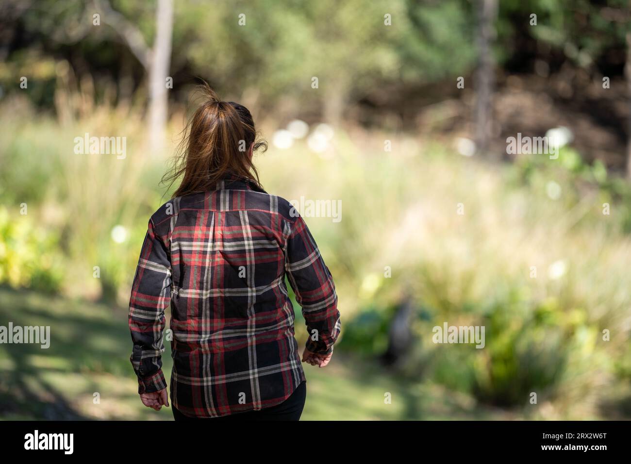 woman in agriculture looking at a soil sample. girl on a farm looking ...