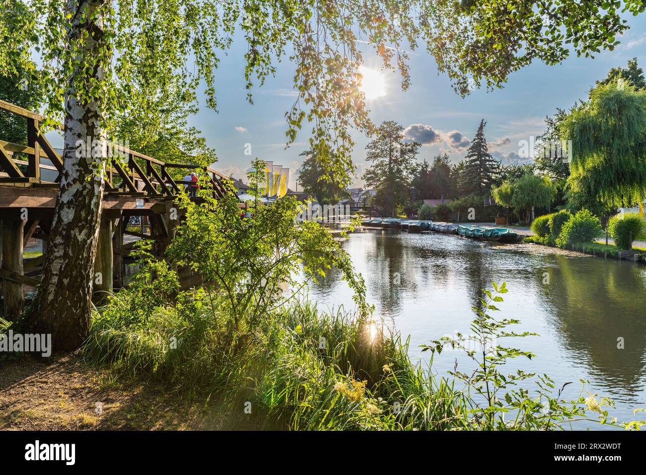 Backlight in the Harbour of Luebbenau, UNESCO Biosphere Reserve, Spree ...