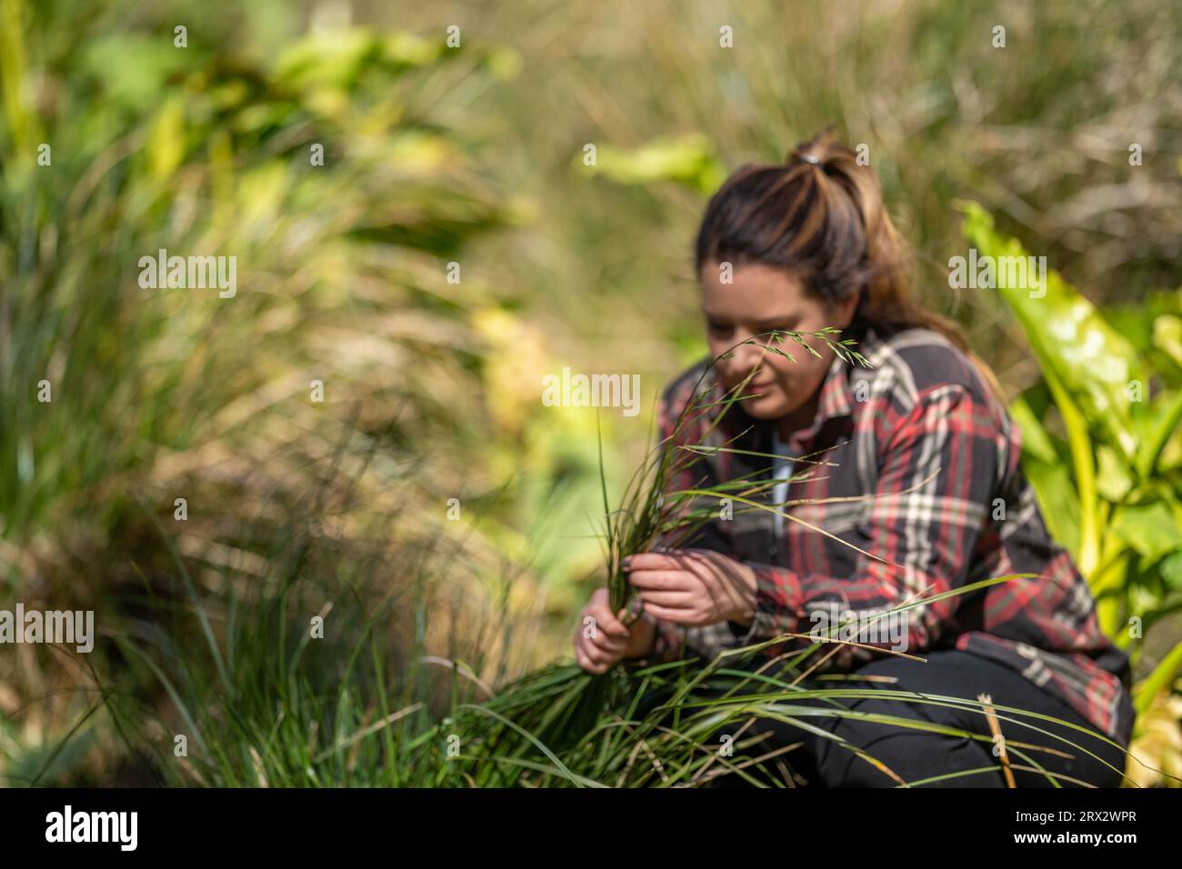 woman in agriculture looking at a soil sample. girl on a farm looking ...