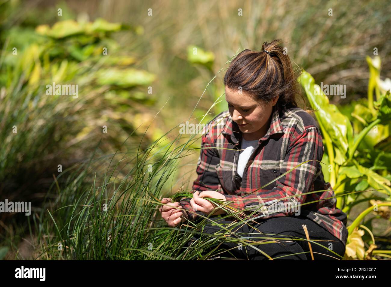 regenerative organic female farmer, taking soil samples and looking at ...