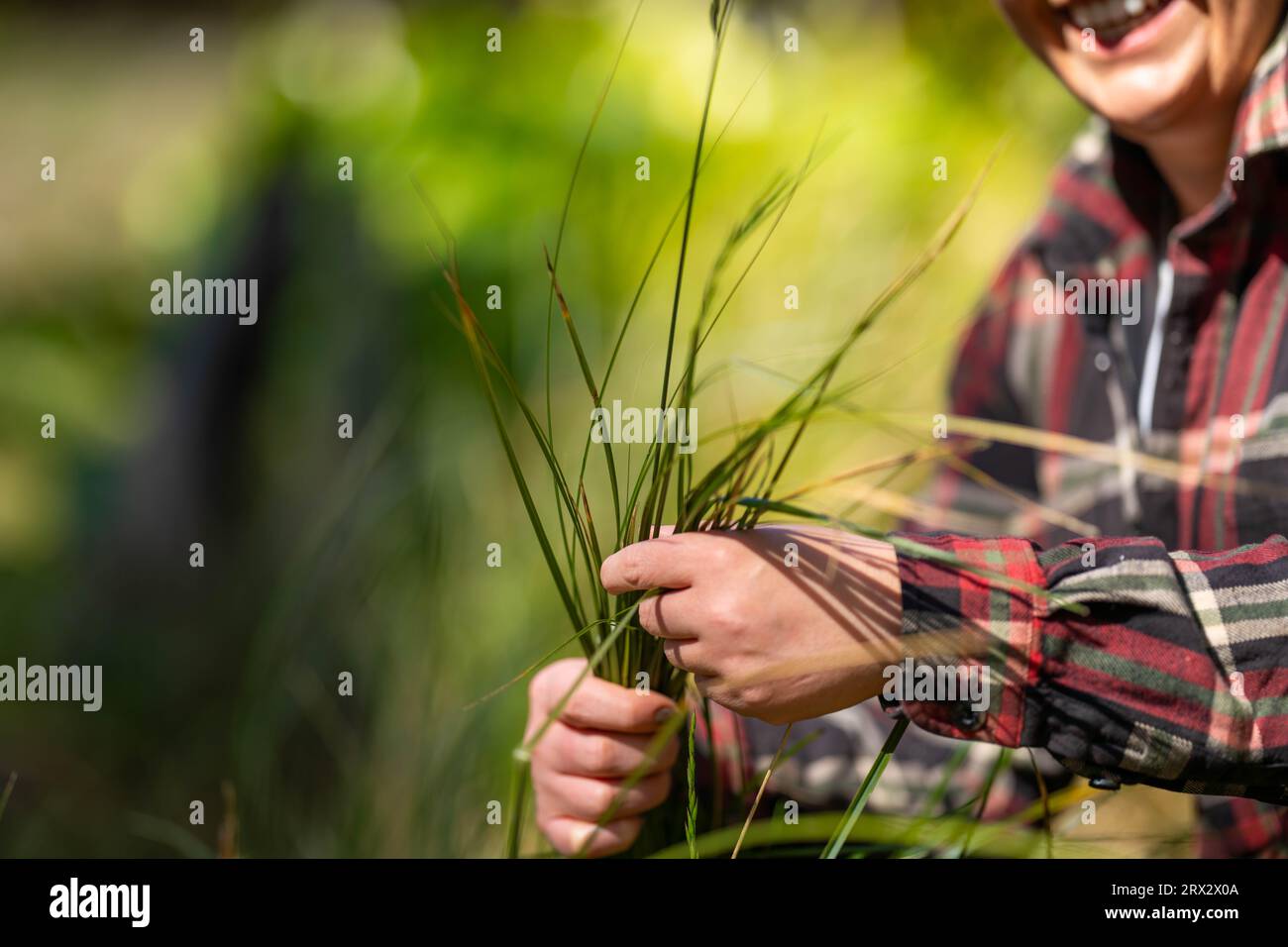 woman in agriculture looking at a soil sample. girl on a farm looking ...