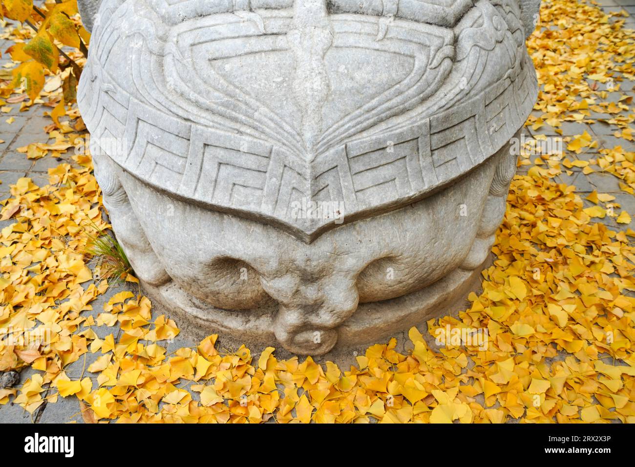 Giant land turtle turtle liked animal hi-res stock photography and ...