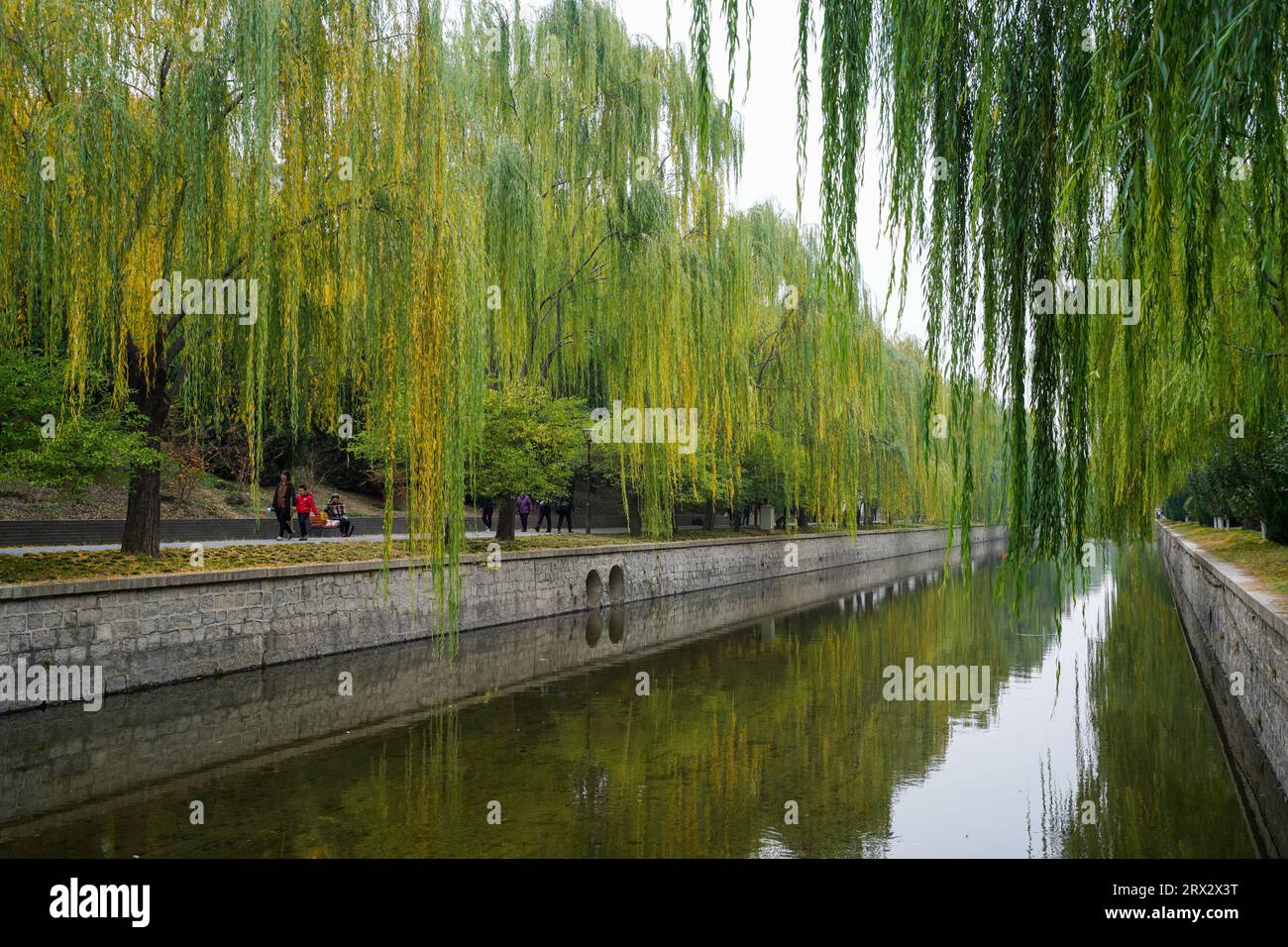 Scenery of Yuan Dadu City Wall Ruins Park in Beijing Stock Photo - Alamy