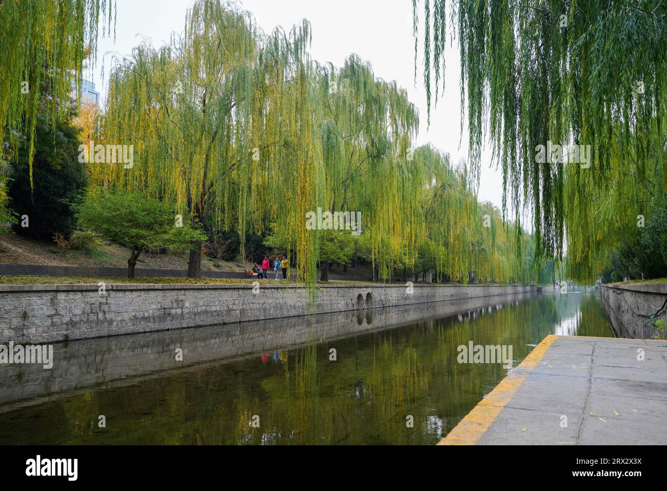 Scenery of Yuan Dadu City Wall Ruins Park in Beijing Stock Photo - Alamy