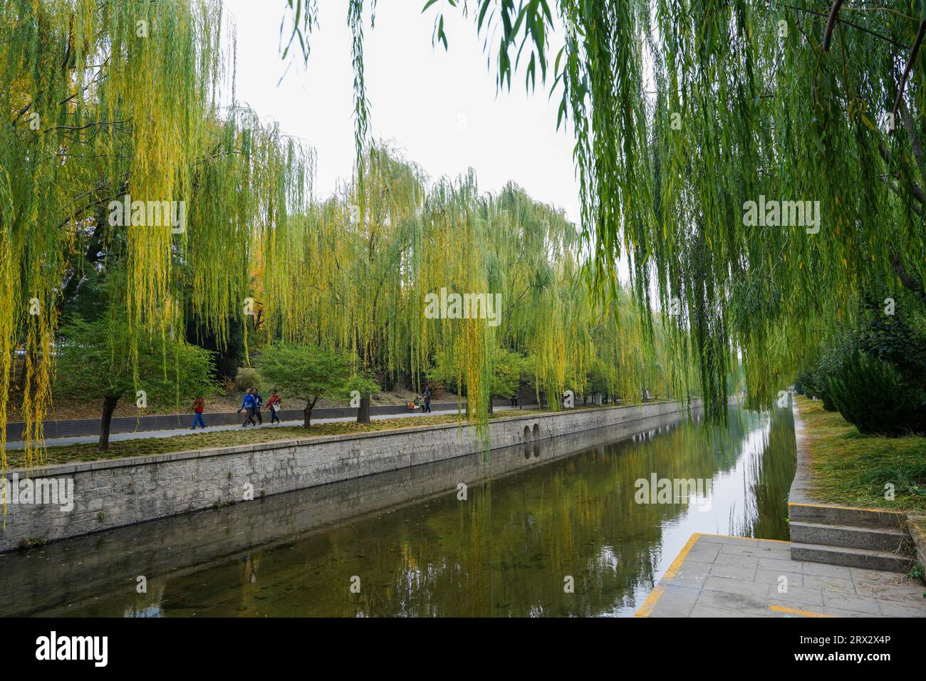 Scenery of Yuan Dadu City Wall Ruins Park in Beijing Stock Photo - Alamy