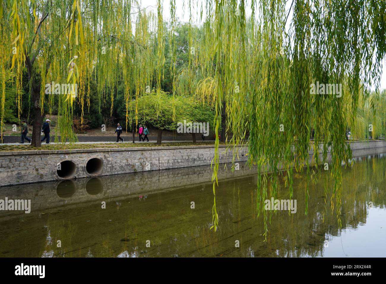 Scenery of Yuan Dadu City Wall Ruins Park in Beijing Stock Photo - Alamy