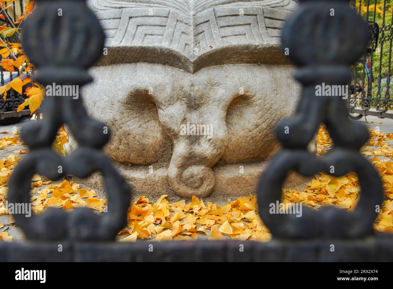 Giant land turtle turtle liked animal hi-res stock photography and ...